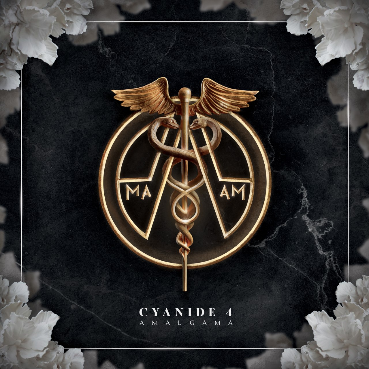 Cyanide 4 – “Amalgama” | Metalheads Forever Magazine