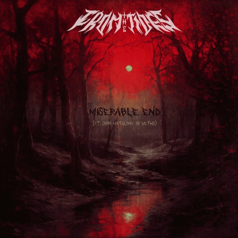 Metalcore band FROM THE TIDES release new single 'MISERABLE END' ft ...